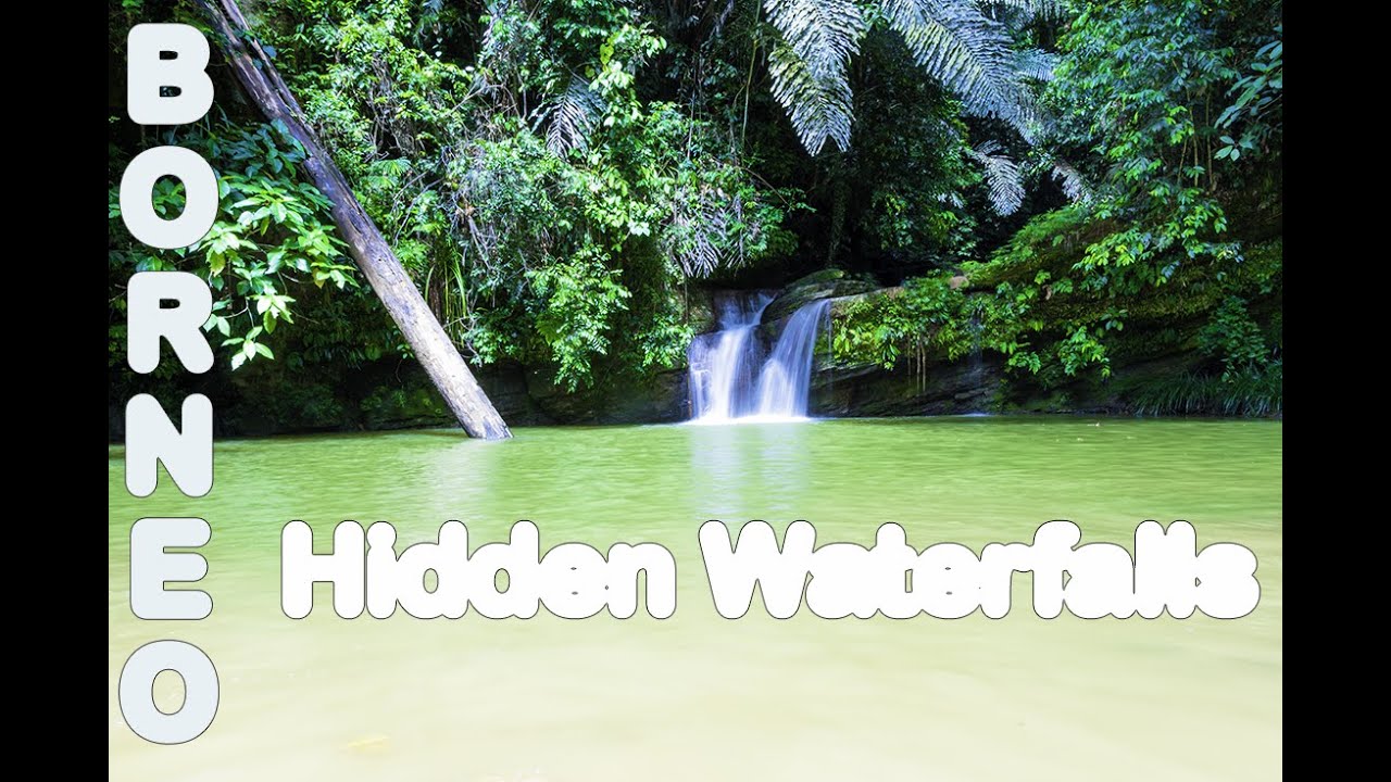 Brunei's Secret Waterfall - Borneo (Travel During Covid) - YouTube