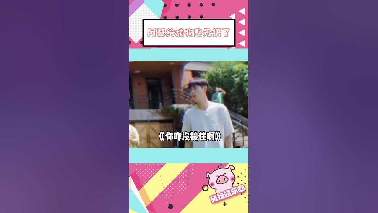 哈哈哈哈哈哈笑不活了~阿瑟的眼神中透露着清澈的愚蠢是怎么回事儿陈飞宇 嗨放派 8姐就爱扒八叭 Youtube