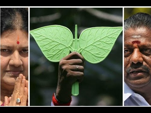 AIADMK Party Symbol || OPS or Sasikala, EC to Decide Who Will Get 'Two ...