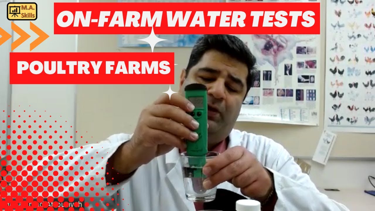 On farm water test on Poultry farms - YouTube