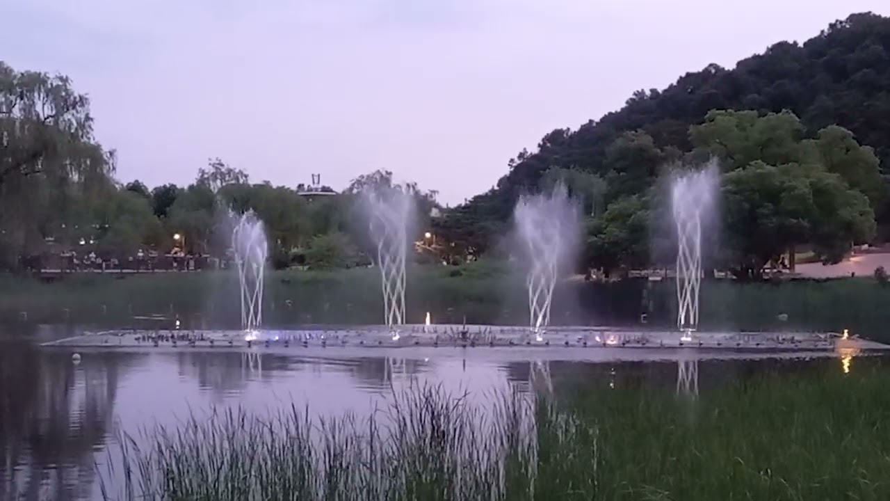 A Little Peace, 작은평화. Paloma Blanca.팔로마 블랑카 Boramae Park Midsummer ...