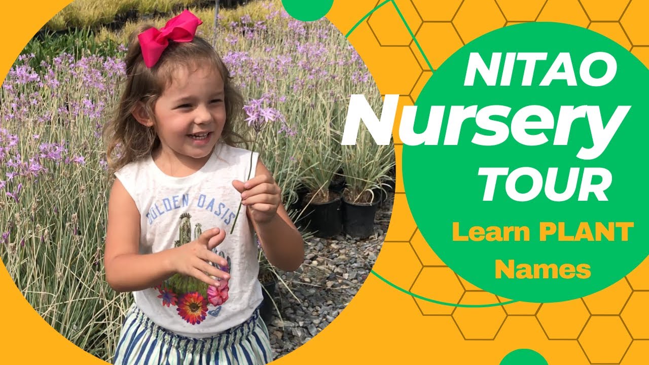 Nursery Tour Learn Plant Names - Flower Names - Lola's Tour | MOODY ...
