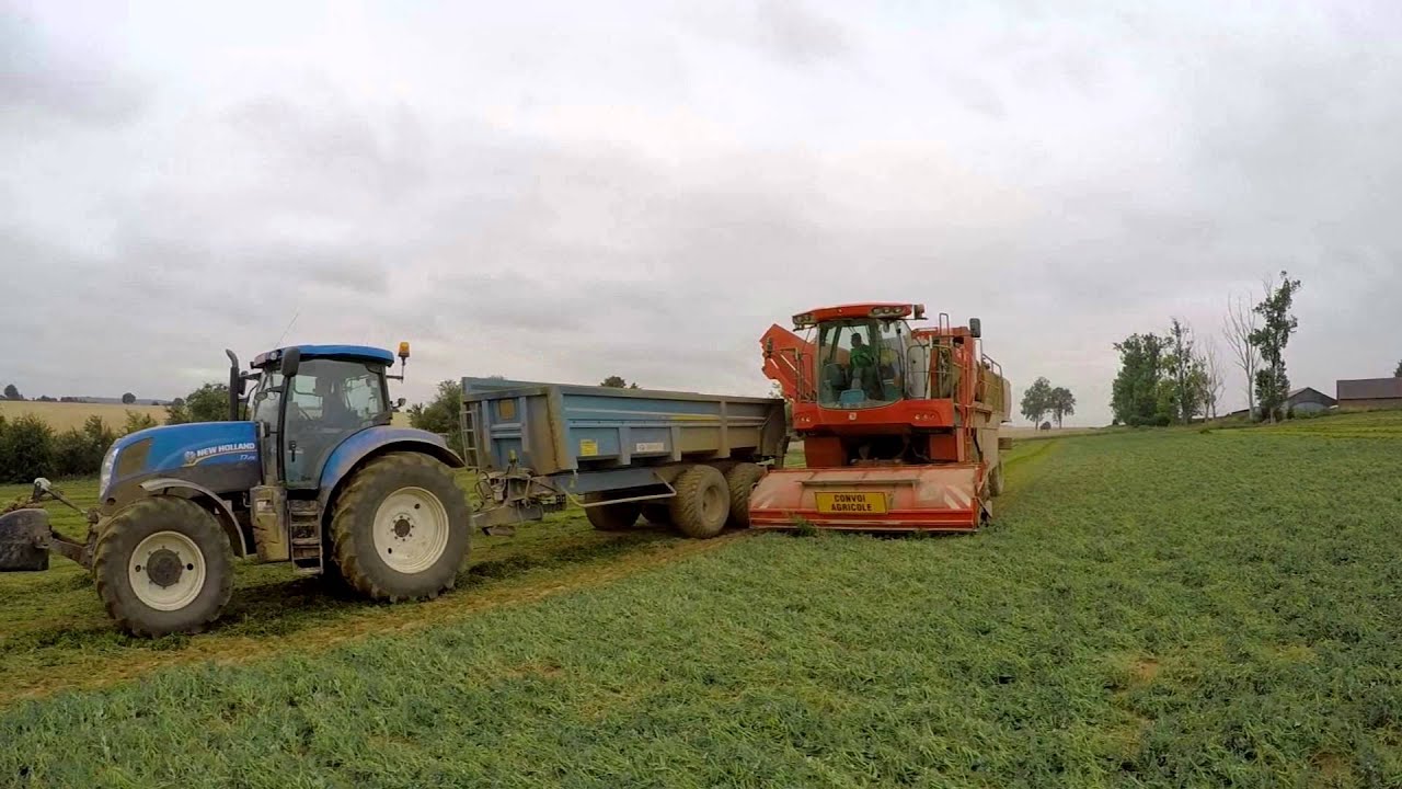 Récolte de petit pois 2015 | BCMH + New Holland et Maupu - Harvesting ...