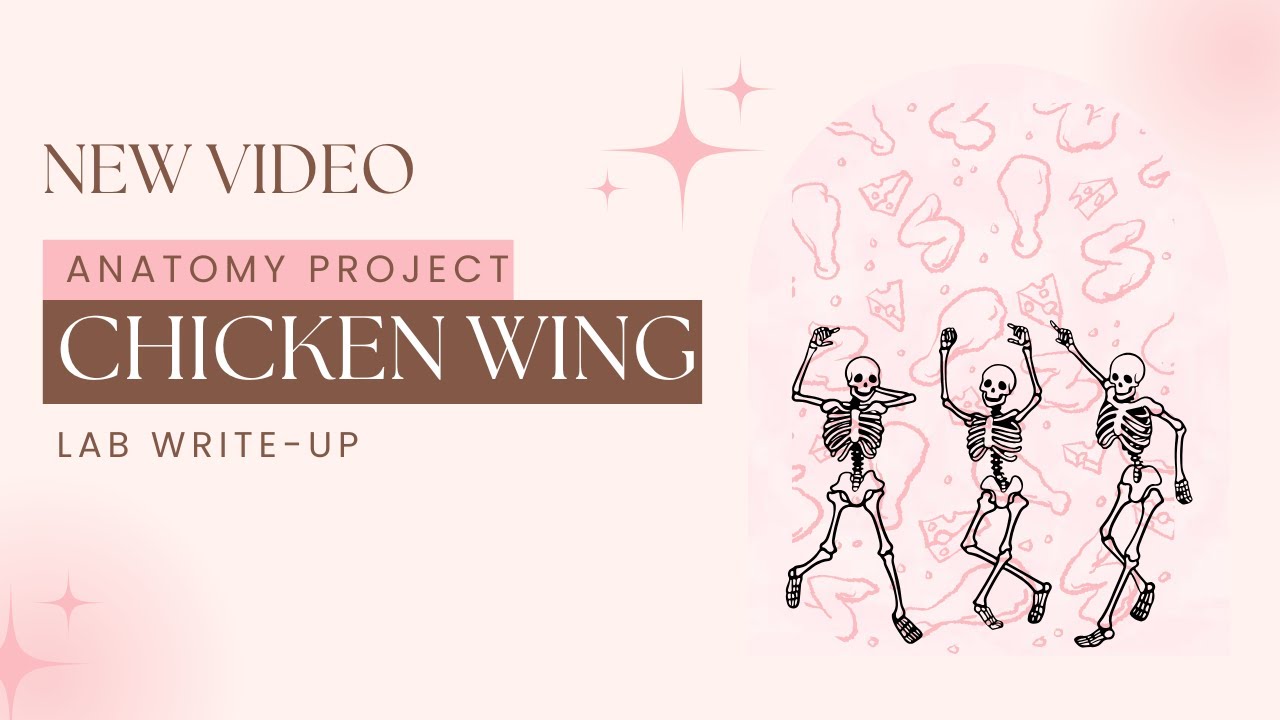 Chicken Wing Lab Write-Up - YouTube