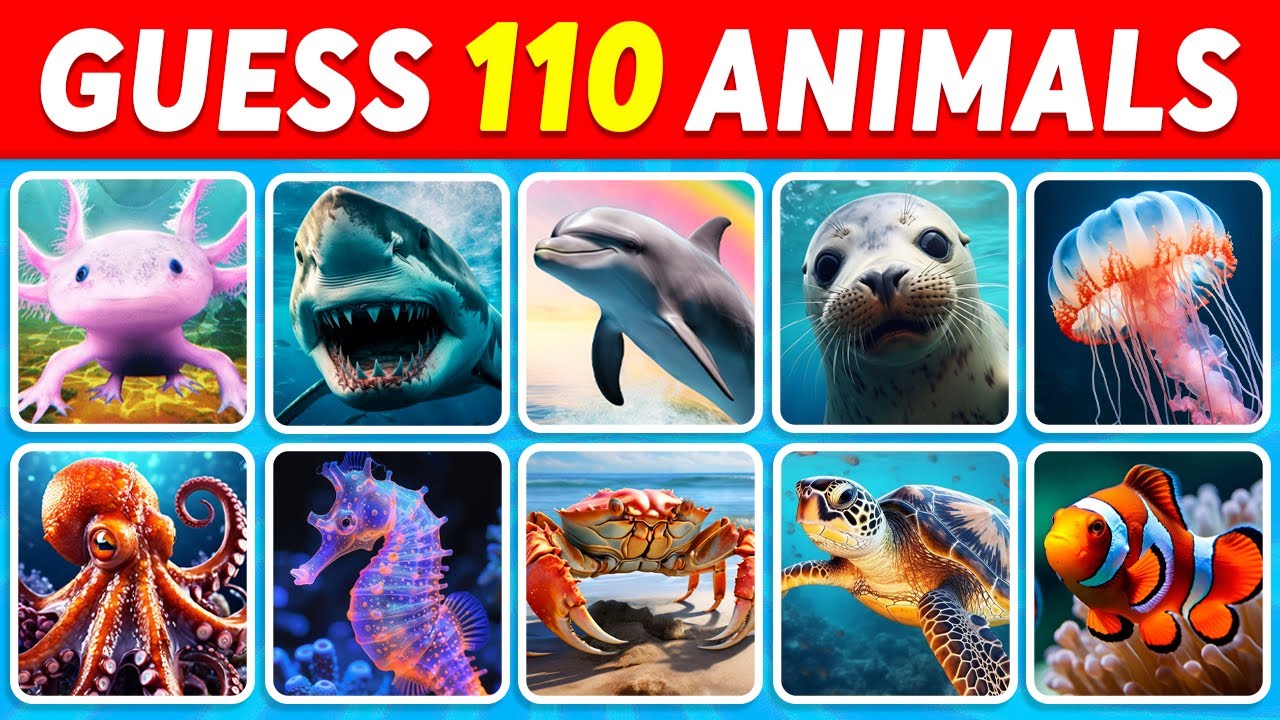 Guess 110 SEA ANIMALS in 3 seconds | EASY to IMPOSSIBLE - YouTube