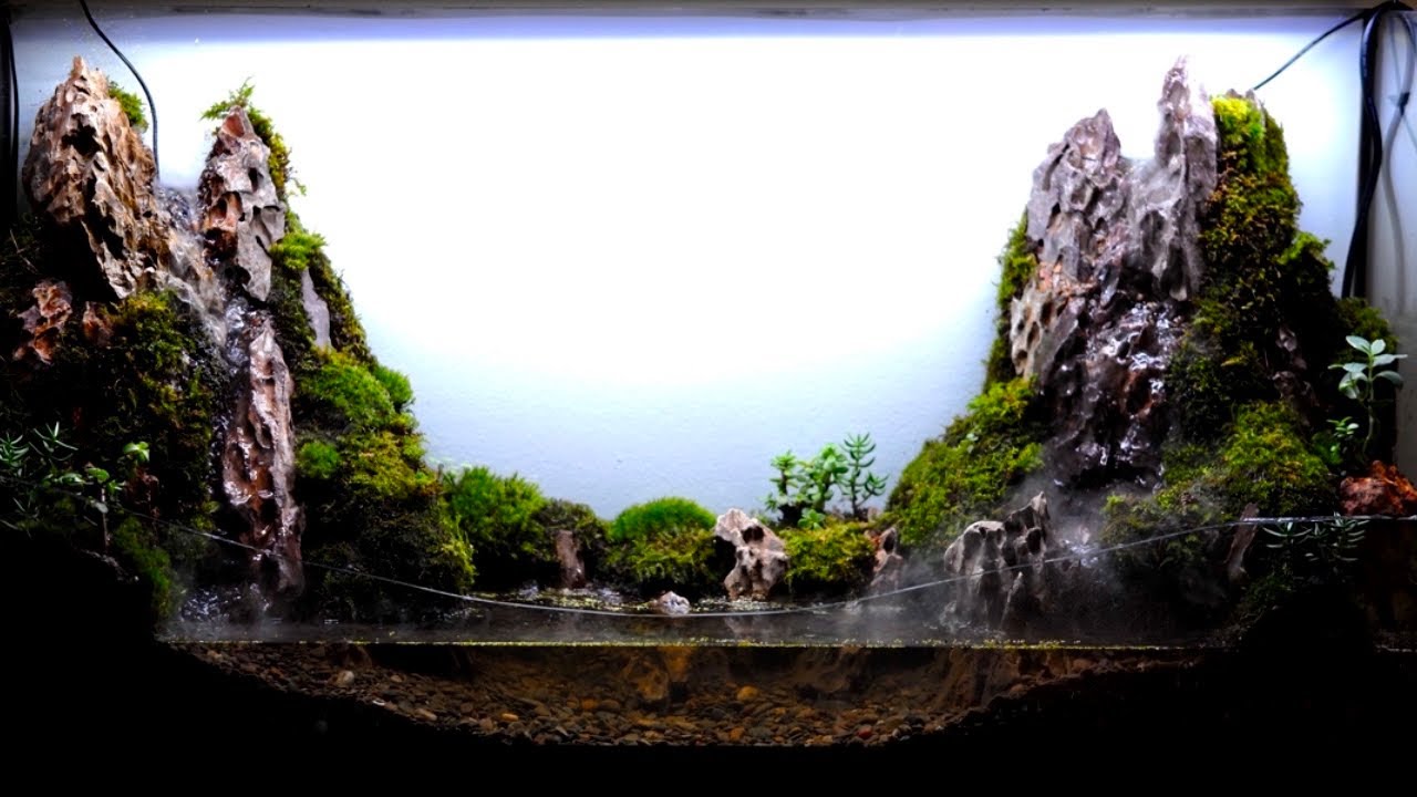 Moss Paludarium Build - YouTube