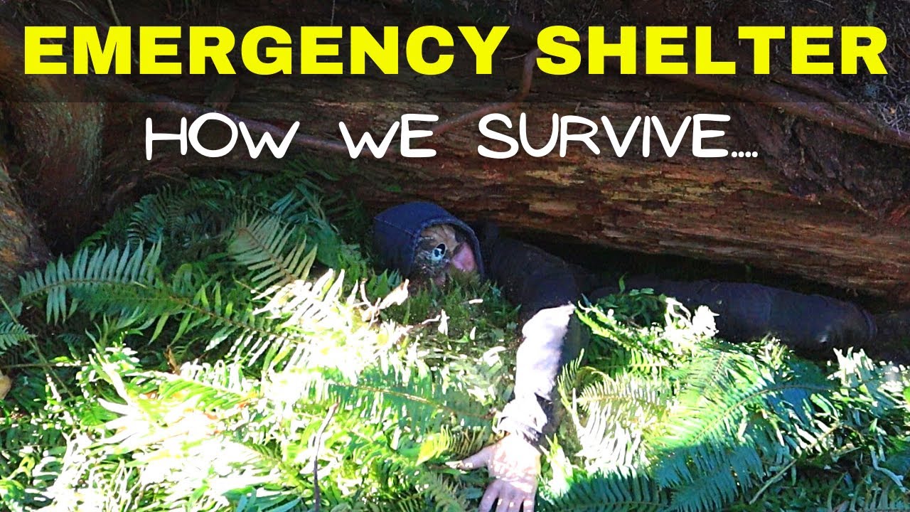 Survival Shelter Build | Emergency Den Shelter - YouTube