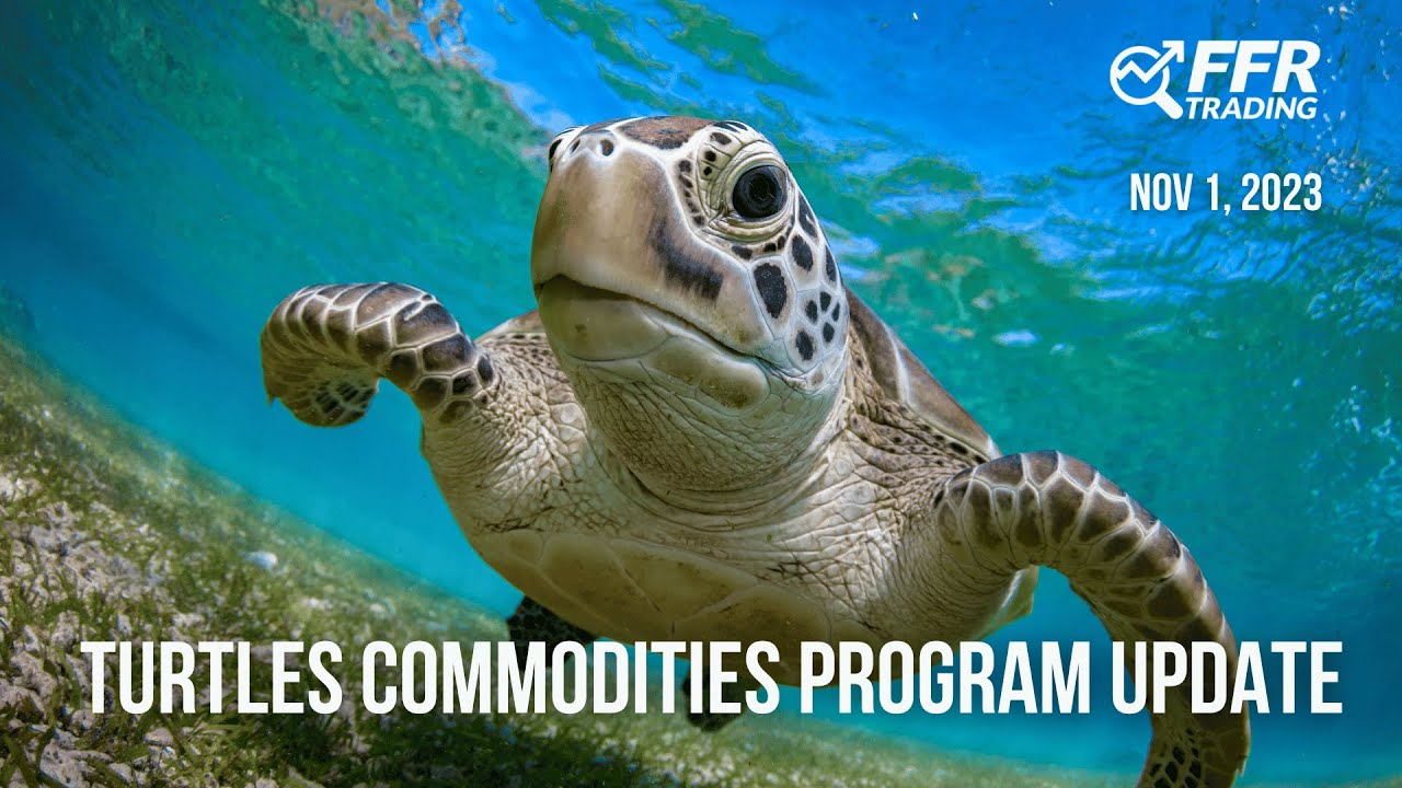 Turtles Commodities Program Update Nov 2023 - YouTube