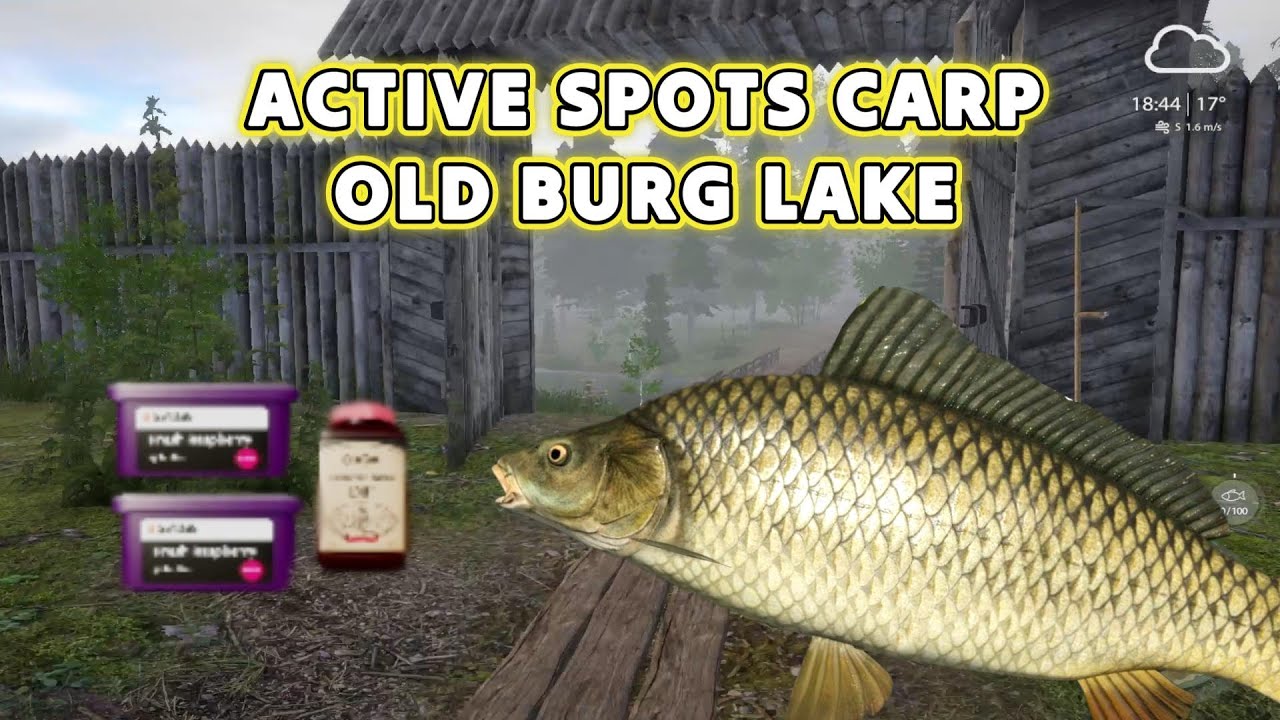 Active Spot Carp Old Burg Lake | Russian Fishing 4 - YouTube