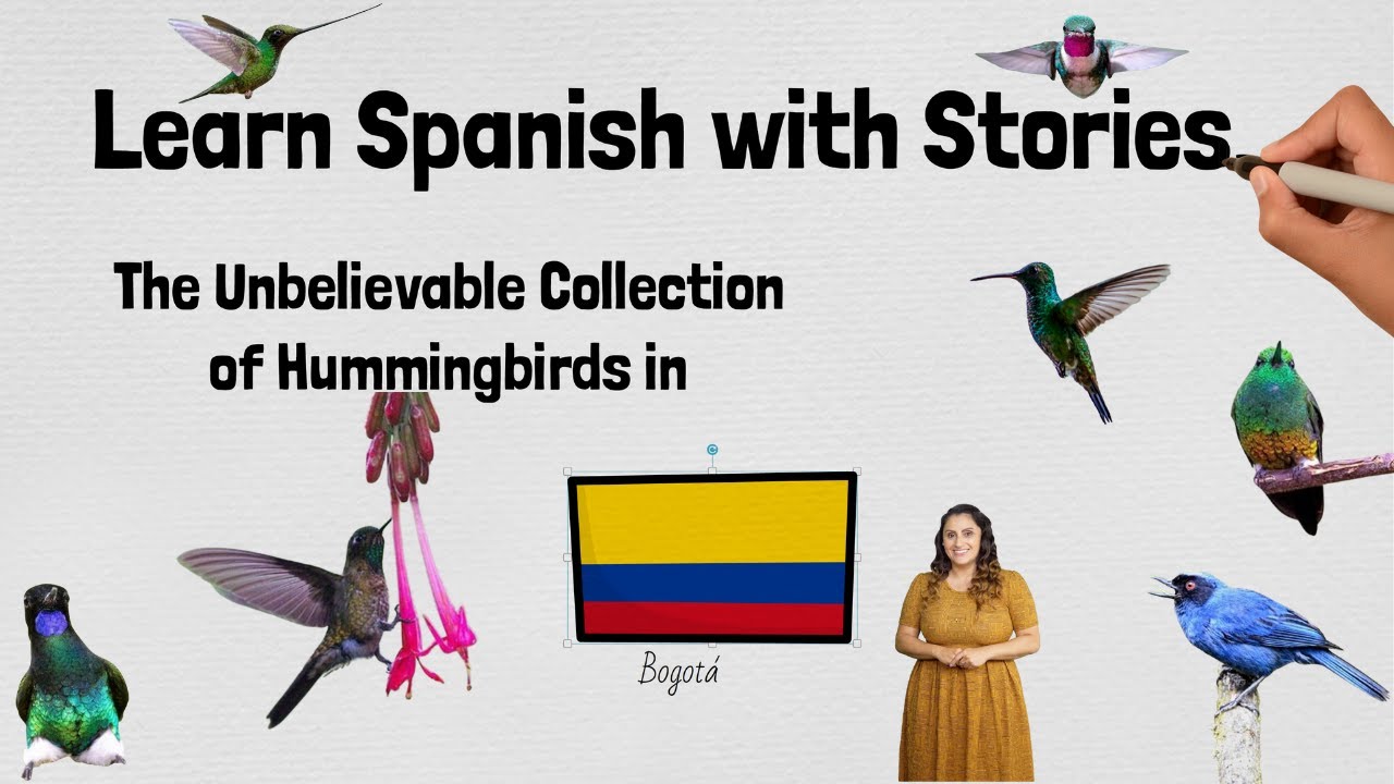 The Unbelievable Collection of Hummingbirds in Bogotá, Colombia ...