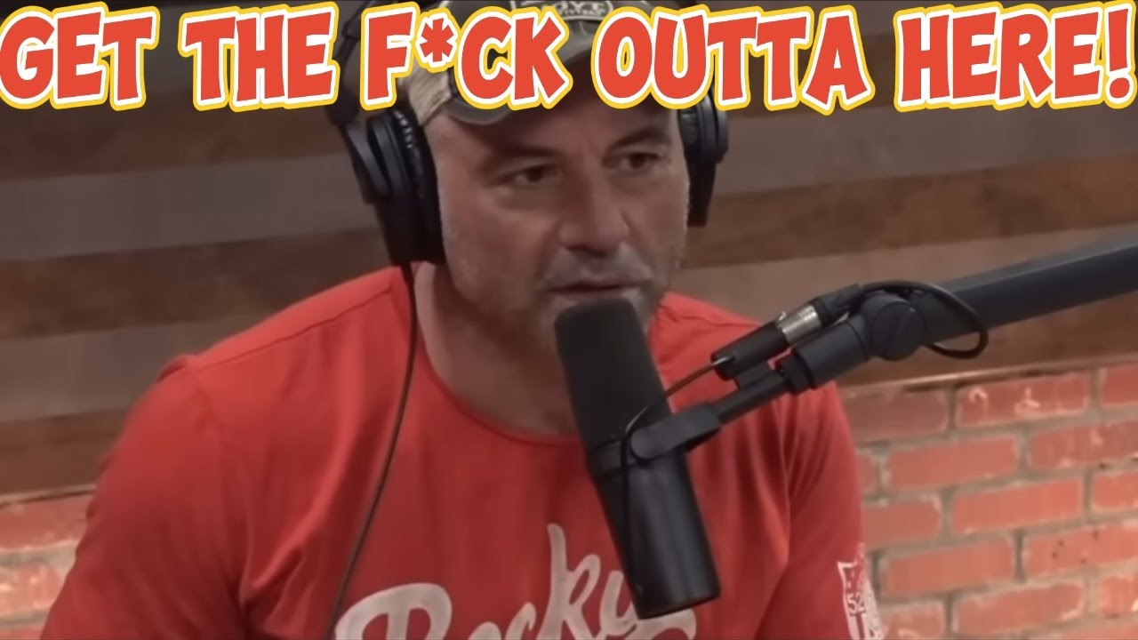 David Pakman BLOWS MAGA Goon Joe Rogan’s Mind with TRUTH BOMBS! - YouTube