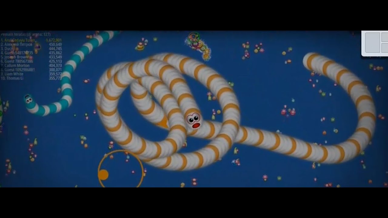THE BIGEST & THE LONG WORM IN THE WORLD - YouTube