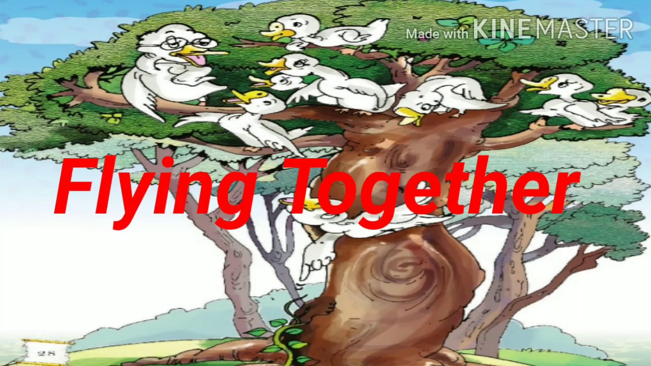 Flying Together, Punchtantra story,English Class 5 ncert - YouTube