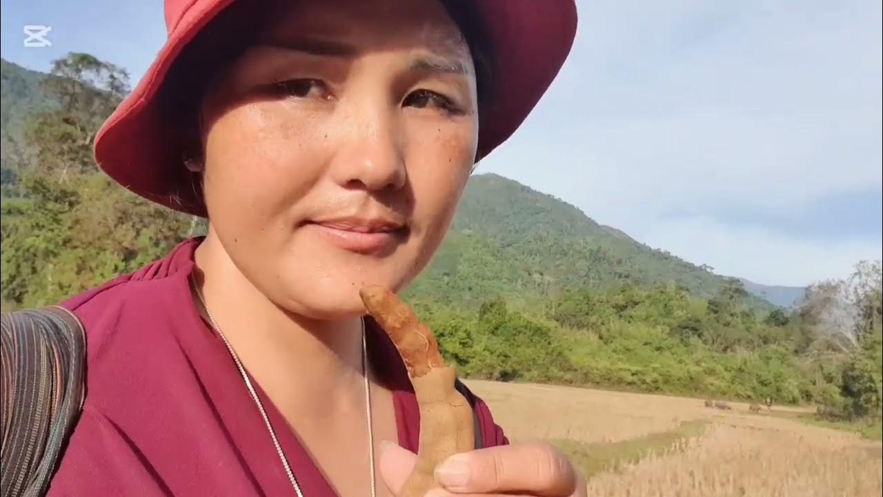 saib peb lub neej hnub no.... - YouTube