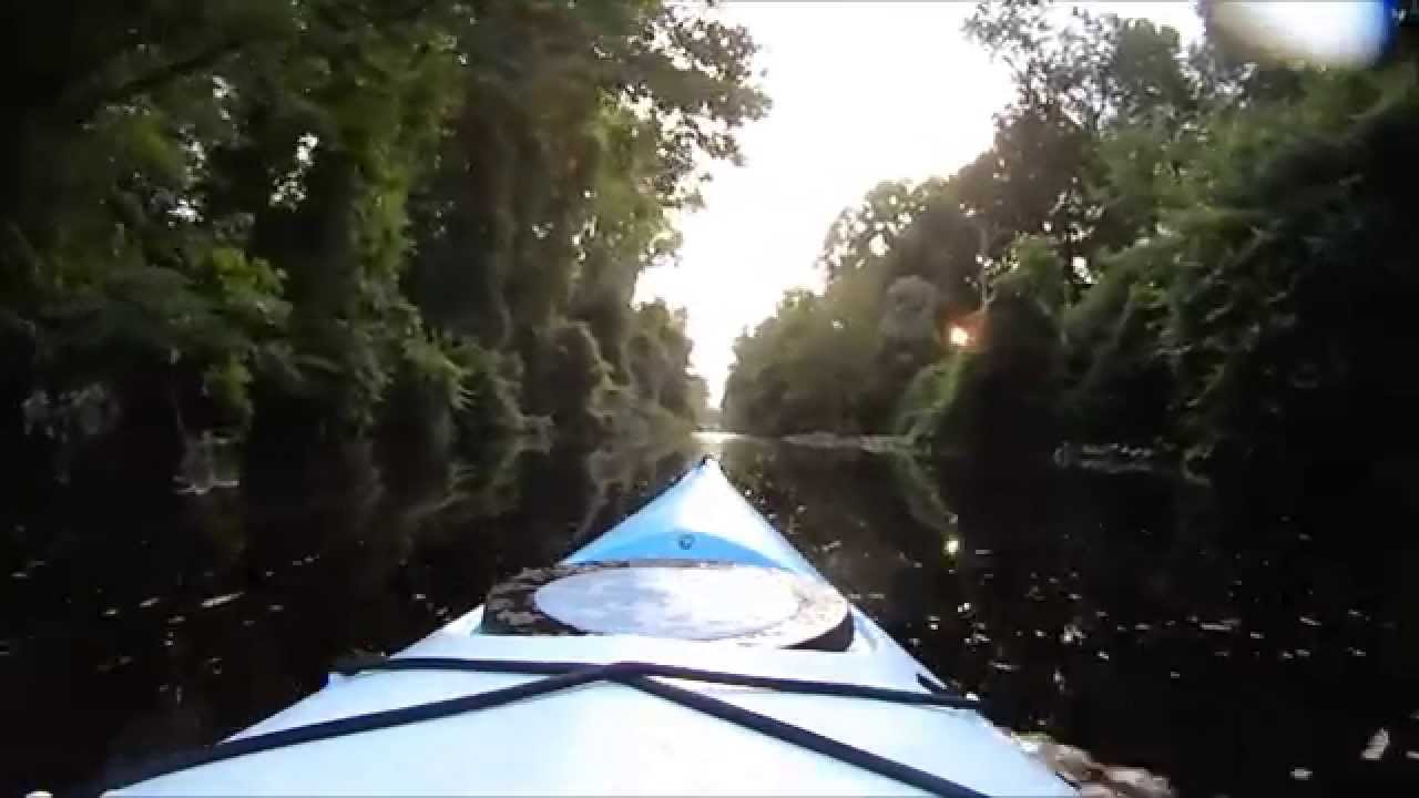 Kayaking Dismal Swamp Canal - YouTube