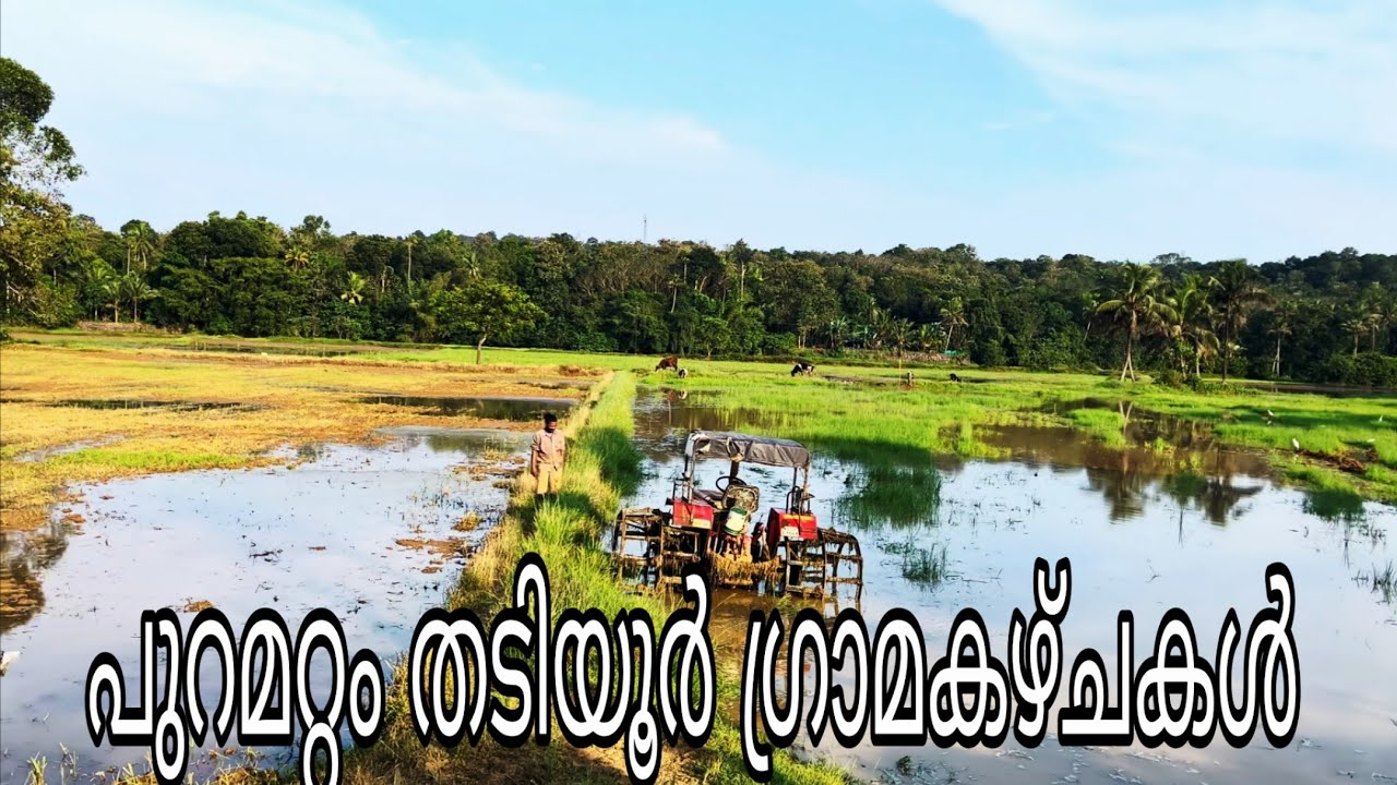 pathanamthitta THADIYOOR പത്തനംതിട്ടയിലെ ഗ്രാമങ്ങൾ - YouTube
