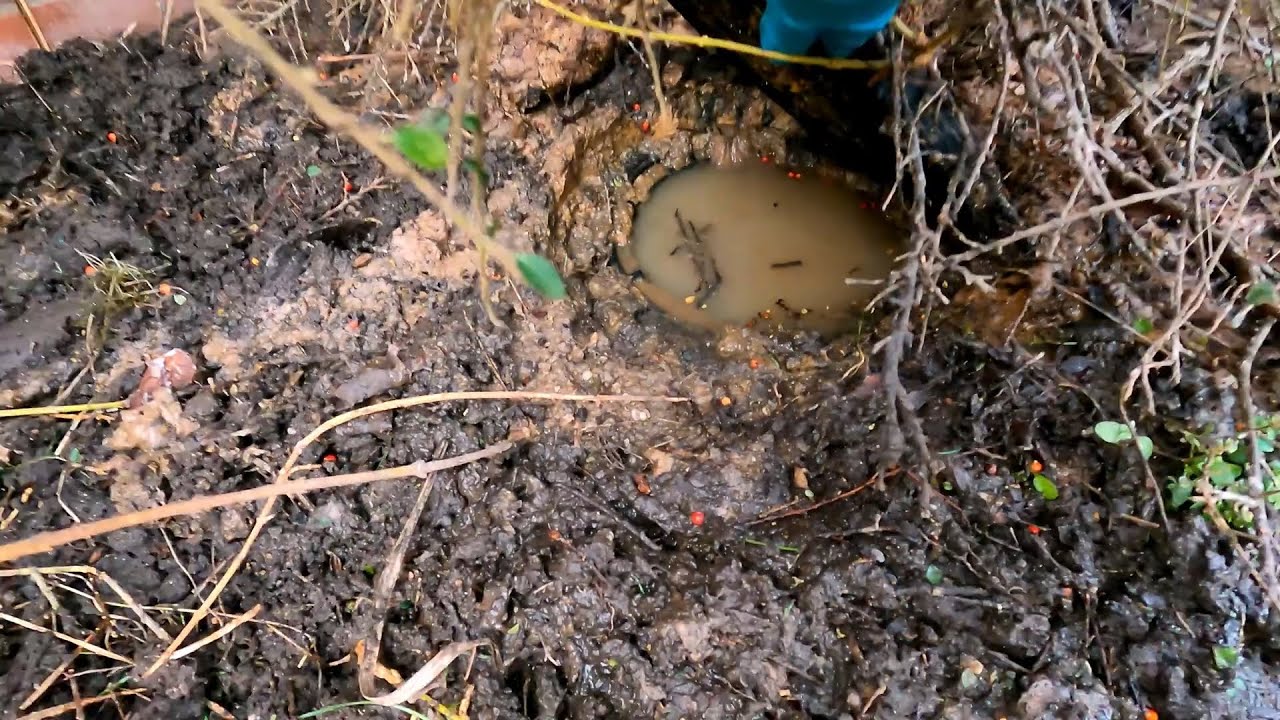 Manhole Unblock with Jetter 4 & Justin - YouTube