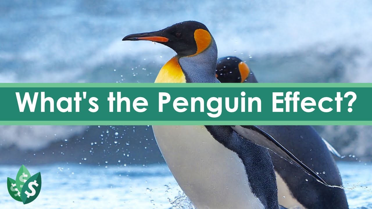 The "Penguin Effect" is Keeping You Poor (Explained) - YouTube