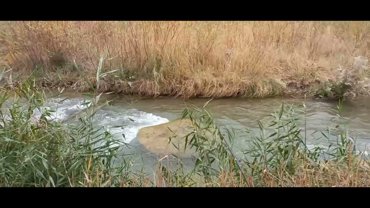 River & fishing in Kazakhstan/ Shymkent - YouTube