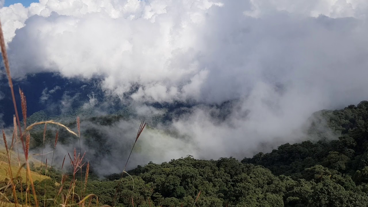 Shiroi hills - YouTube
