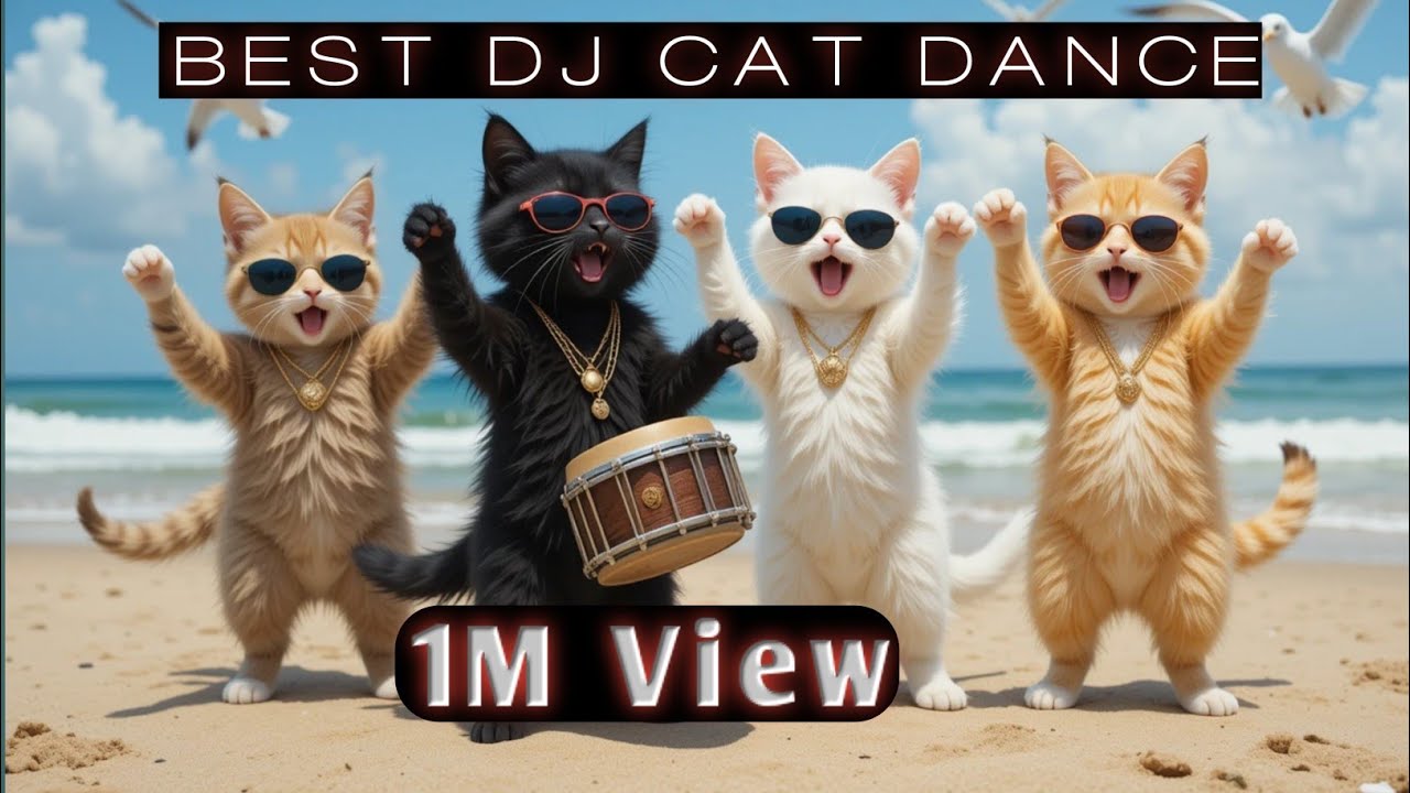 BEST DJ CAT DANCE COMPILATION - YouTube