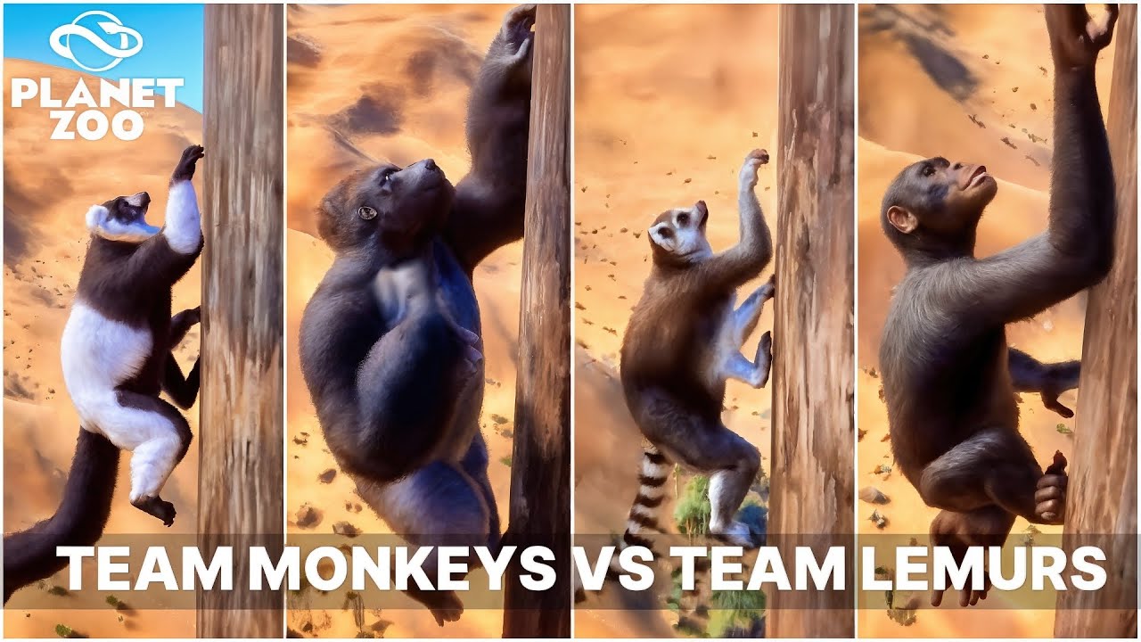 Who will be the Fastest team? Team Monkeys vs Team Lemurs Tree Climbing ...