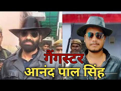 Most Wanted Gangster Anand Pal Singh | Full Story Of Gangster Anand Pal ...