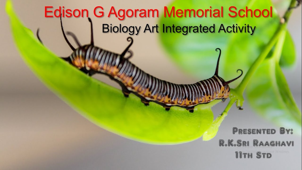 Biology Art Integrated Project for class 11 - YouTube