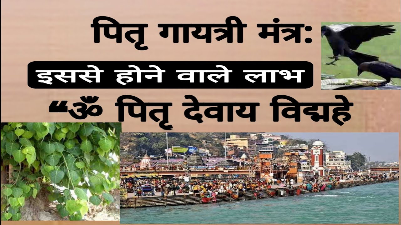 पितरौं के लिए कौन सा मंत्र बोलना चाहिए । Pitra Gaytri mantra benefits ...
