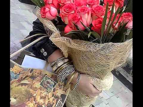 SOYLE.wmv