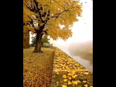 whatsapp'da 1 dəqiqəlik status paylaşmaqı bacaranlara gəlsin bu  video'm 💙😉🙃