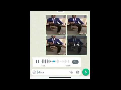 olum sen mal mısın