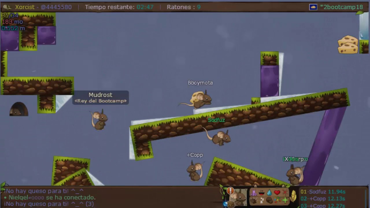 |TRANSFORMICE| - Mudrost 10K Bootcamp - YouTube