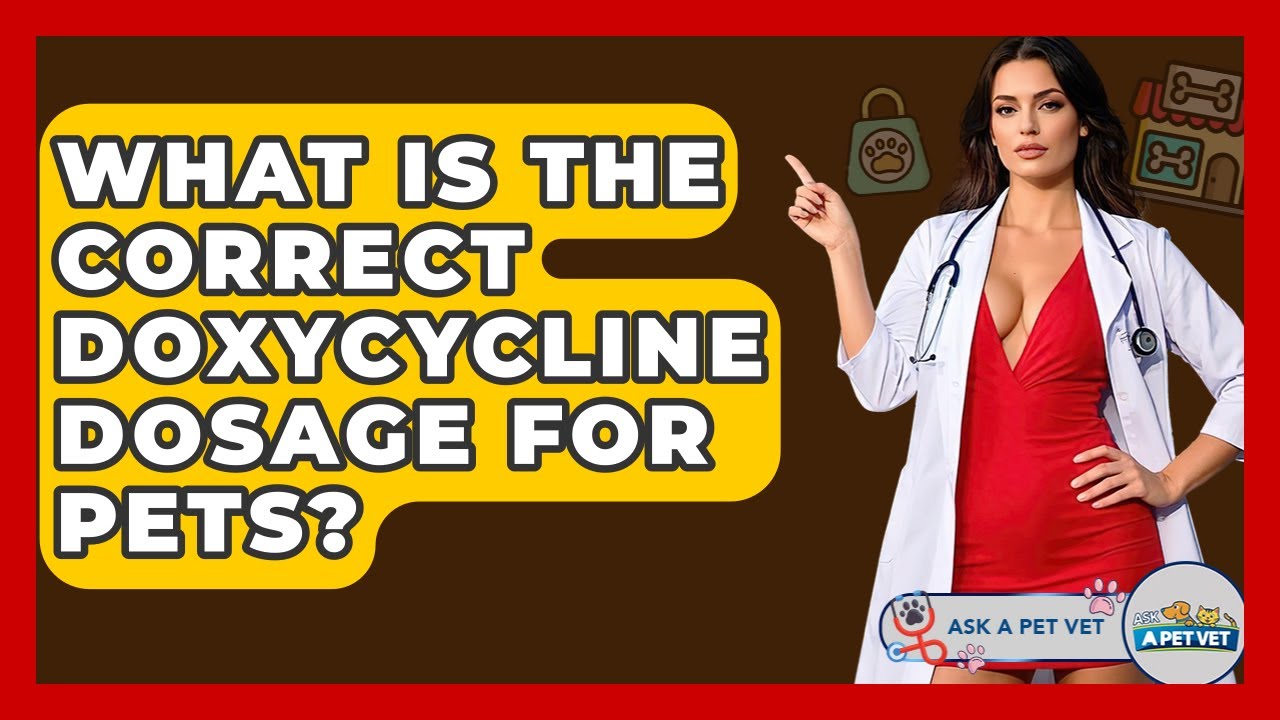 What Is The Correct Doxycycline Dosage For Pets? - Ask A Pet Vet - YouTube