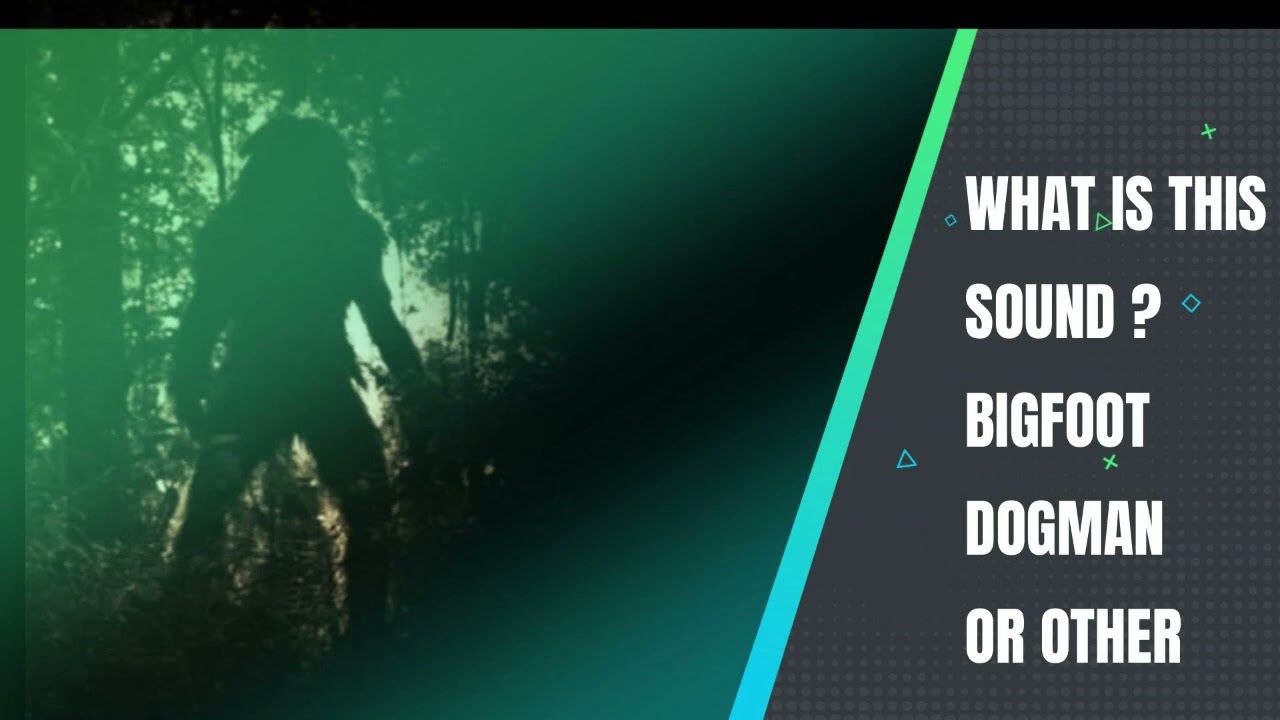 LISTEN TO THIS TERRIFYING UNKNOWN SOUNDS. WHAT IS IT? - YouTube