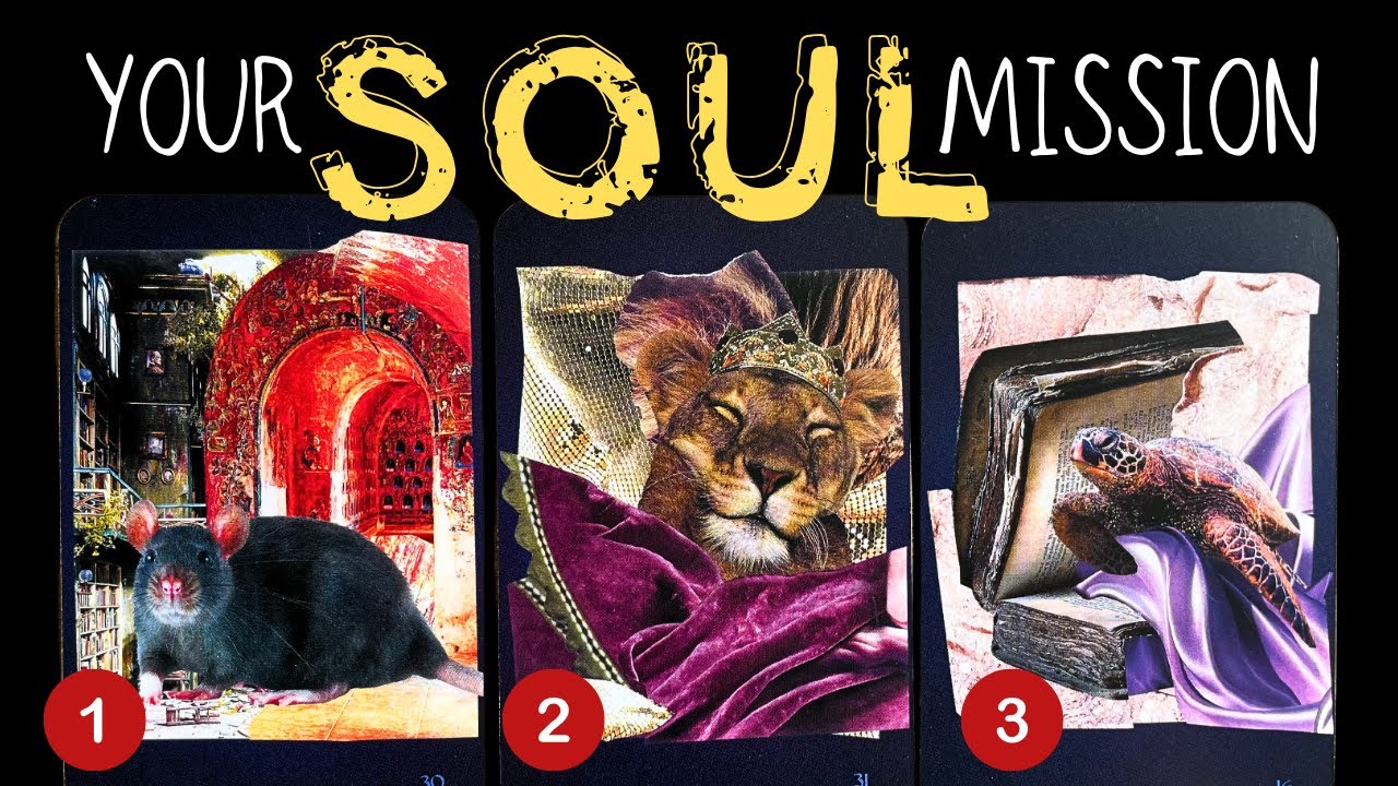 💥Your HIGHEST Soul Mission? 🌏🕯️⭐️ pick a card reading 🃏 tarot card ...