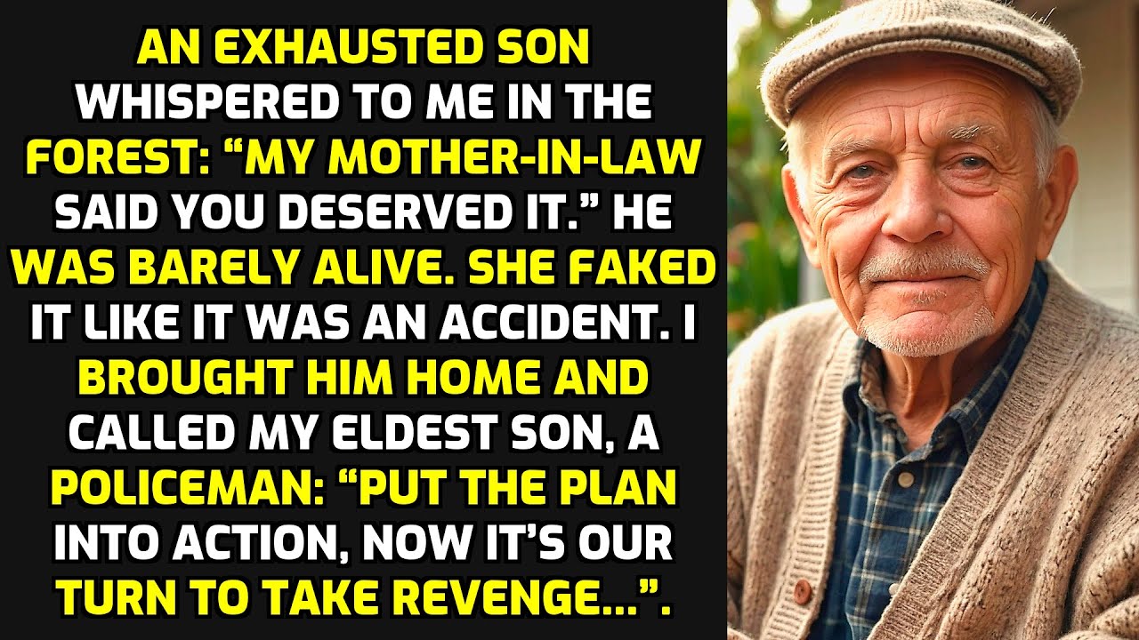 An Exhausted Son Whispered To Me In The Forest: “My Mother-in-law Said ...