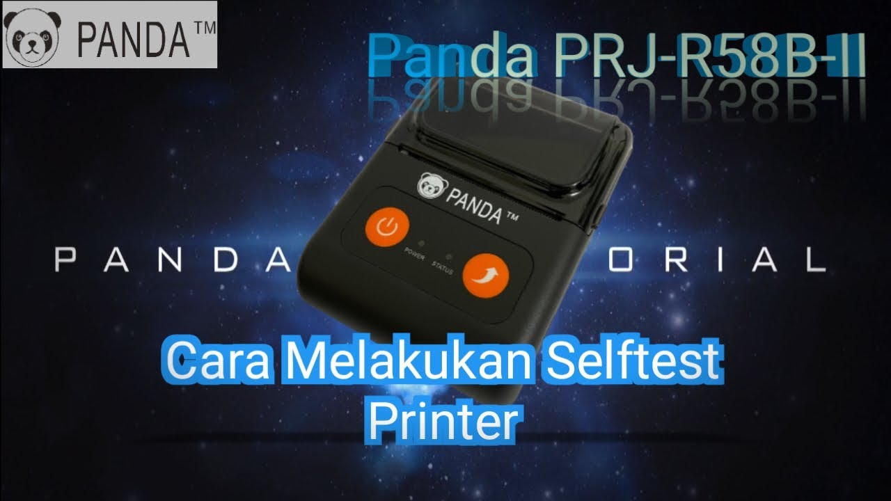 Panda PRJ-R58B-II Selftest Printer - YouTube