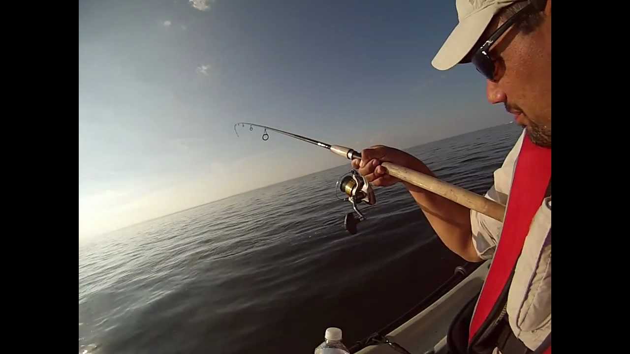 Fishing for Reds in Cockroach Bay - YouTube