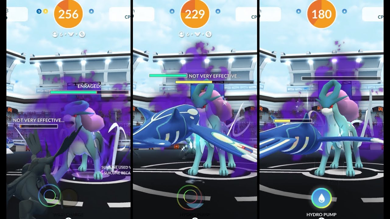 Shadow Suicune Raid with Primal Kyogre and Electric Zekrom as Counters ...