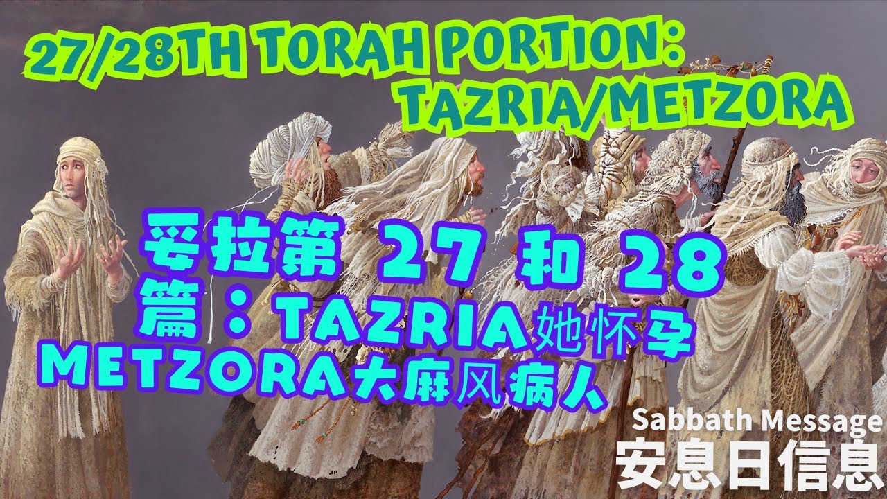 27/28th Torah portion:Tazria/Metzora｜妥拉第 27 和 28 篇：“Tazria她怀孕”/“Metzora ...