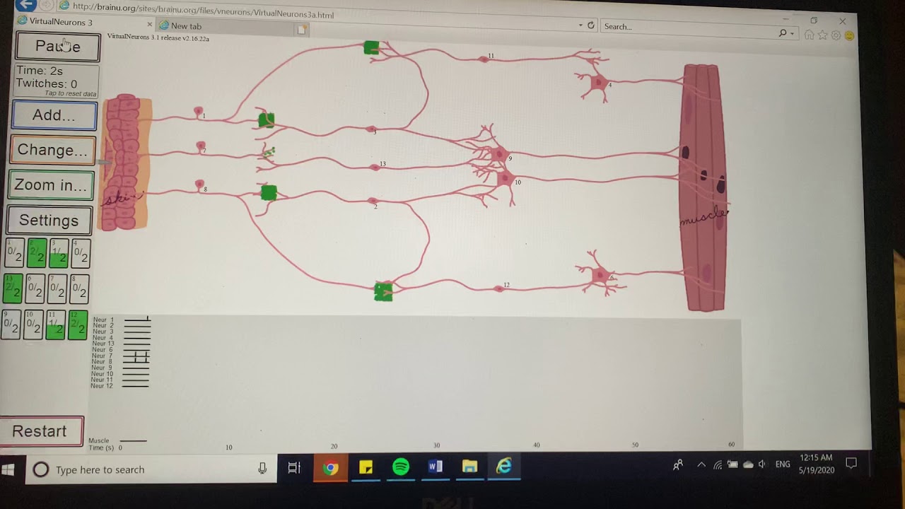 Virtual Neuron Project! 2020 - YouTube