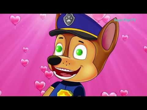 Paw Patrol Full Episode Pups Save Mer Pups Chase Is A Mer Pups Paw ...