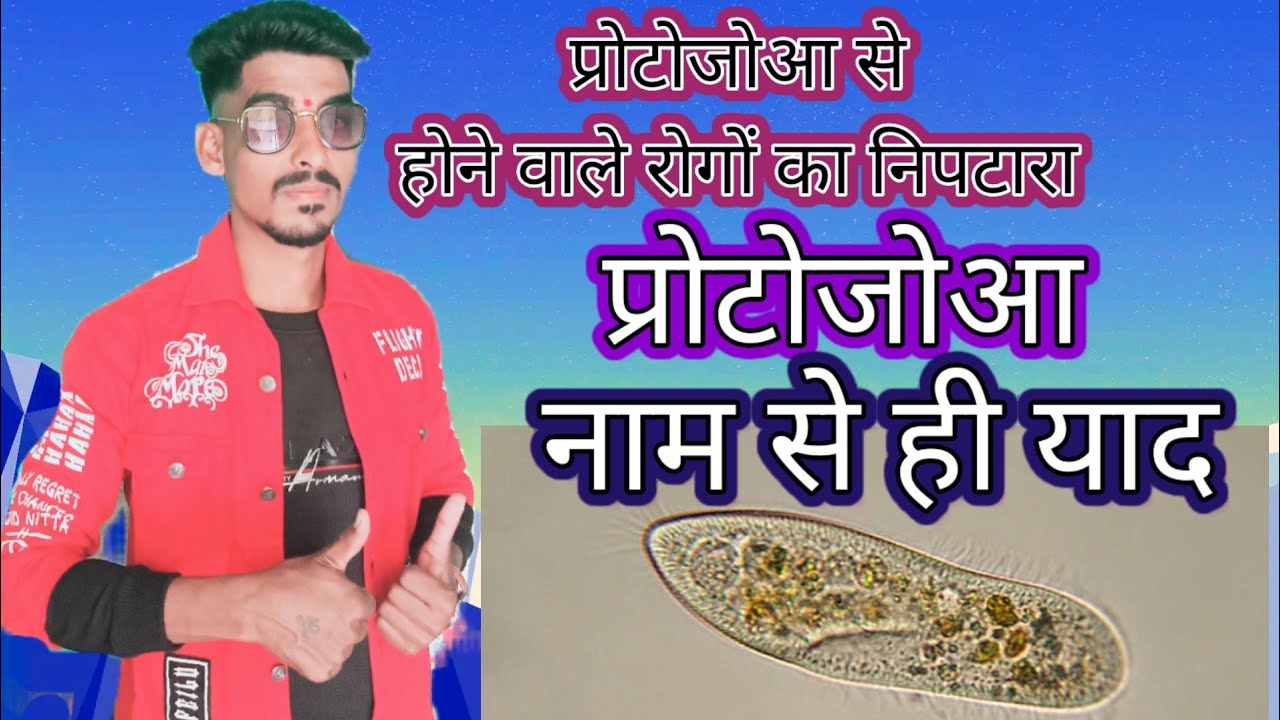 प्रोटोजोआ से होने वाले रोगdiseases Caused By Protozoa Youtube