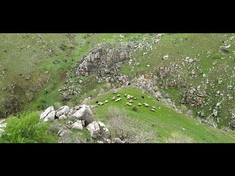 DAĞ GÖBEĞİNDE MUHTEŞEM KISA BİR GÖRÜNTÜ