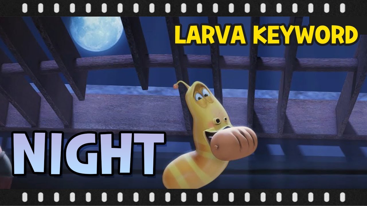 Larva | Night Special🌛 | Keyword Cartoon Compilation | @LarvaTUBA - YouTube