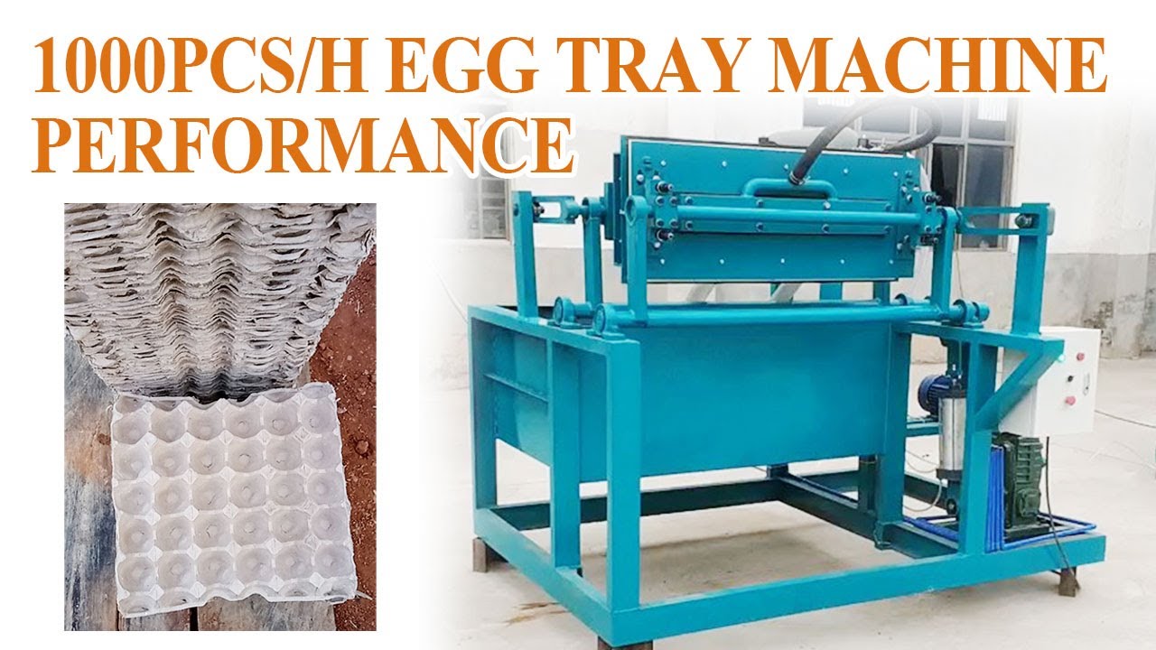 Small Egg Tray Production: Witness the Excellence of Egg Tray Making ...