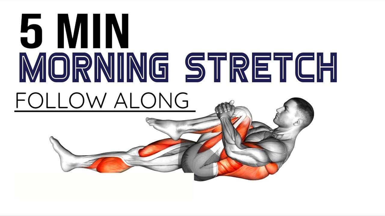 5 minute morning stretch | Full Body Stretch Routine for Beginners ...