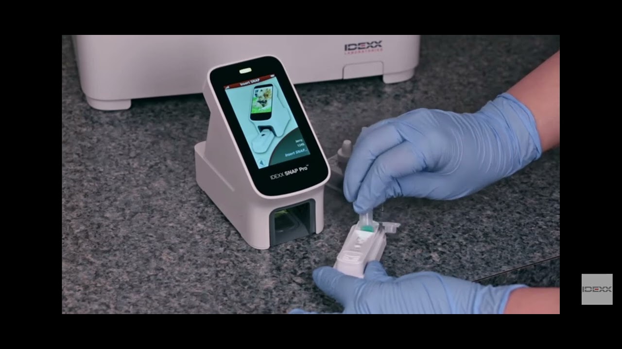idexx snap *pro - YouTube