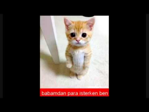 Dünyada en cok izlenen 10 komik caps